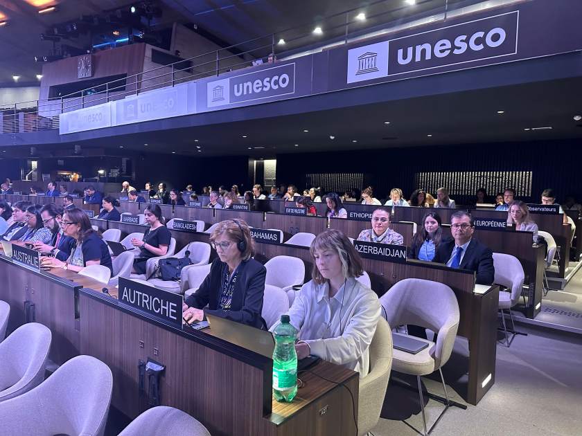 UNESCO 10th Conference of Parties on Cultural Diversity | Event